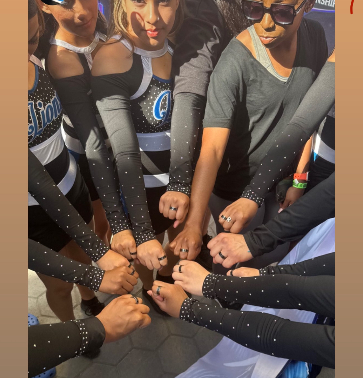 About – Lions Elite